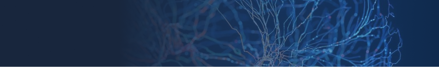 International Consortium for Primate Brain Mapping